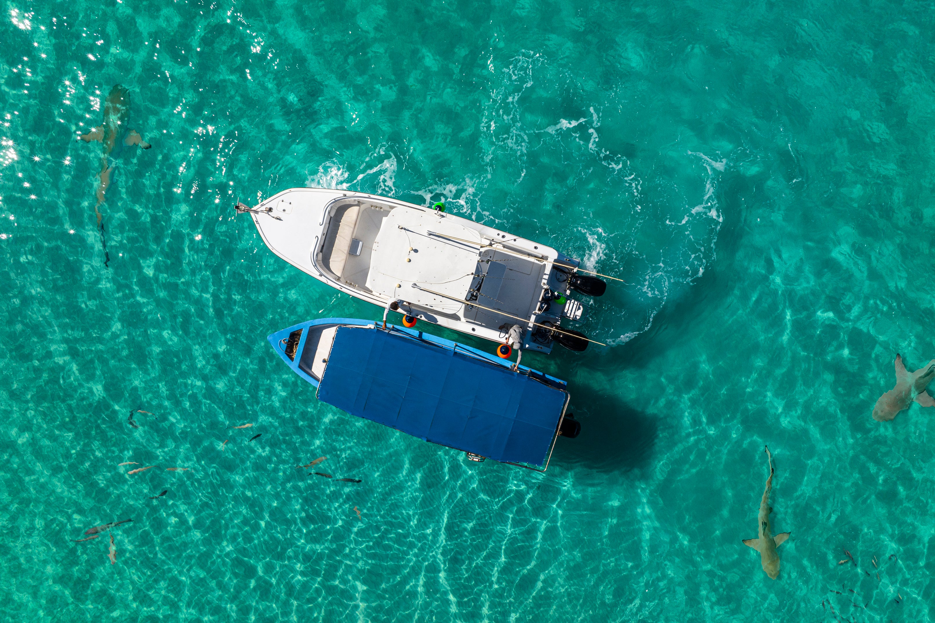 Boat Fenders and Buoys | Polyform US